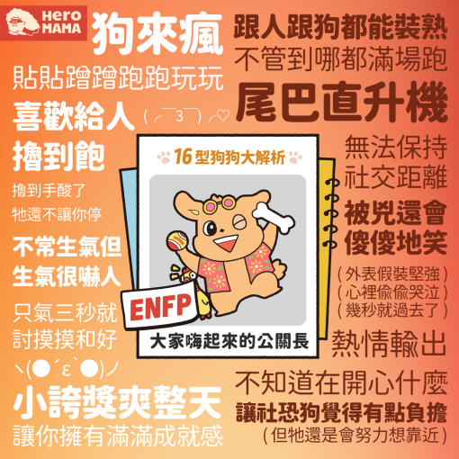 貓狗專屬MBTI心理測驗！狗狗版E型篇 - HeroMama