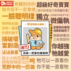 貓狗專屬MBTI心理測驗！狗狗版I型篇 - HeroMama