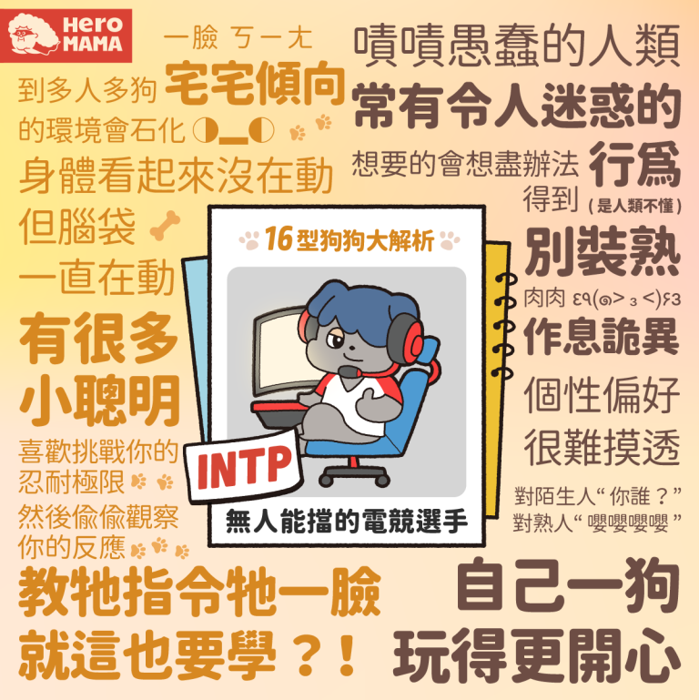 貓狗專屬MBTI心理測驗！狗狗版I型篇 - HeroMama