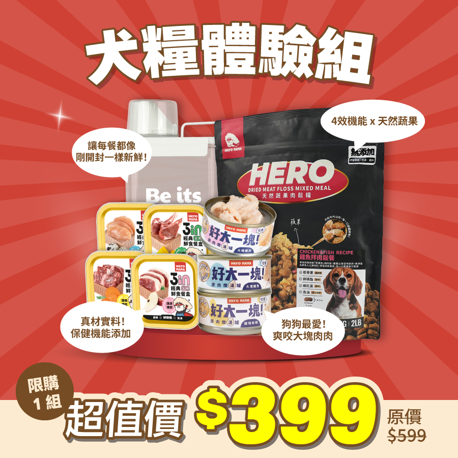 英國鬥牛犬完整指南：特徵、照護與飼養要點【2025最新】 - HeroMama