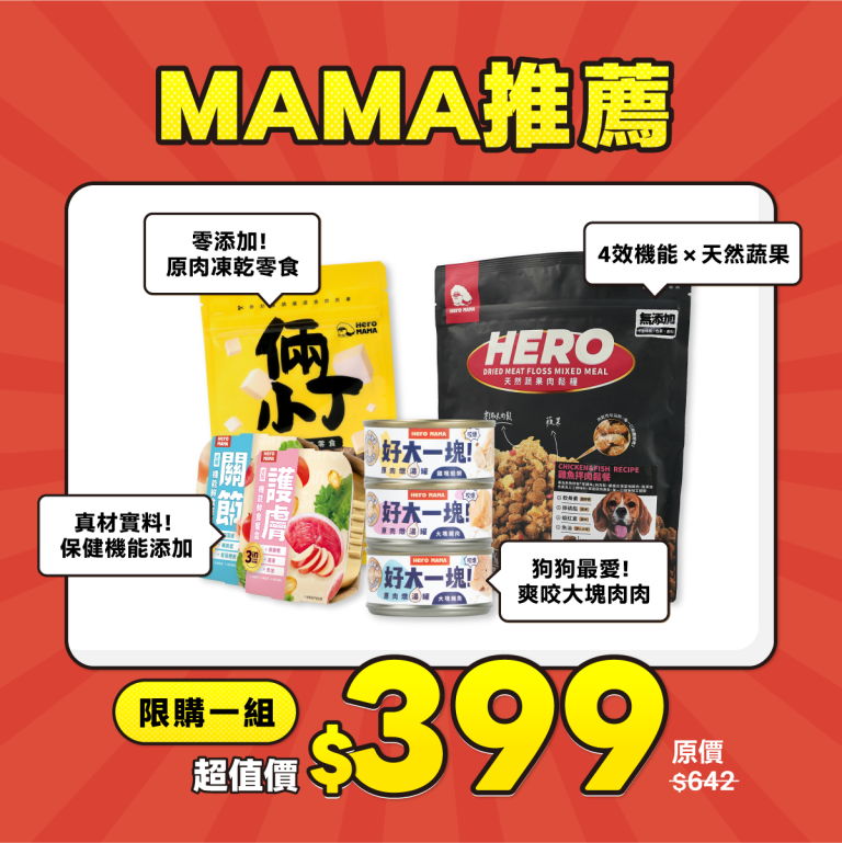 英國鬥牛犬完整指南：特徵、照護與飼養要點【2025最新】 - HeroMama