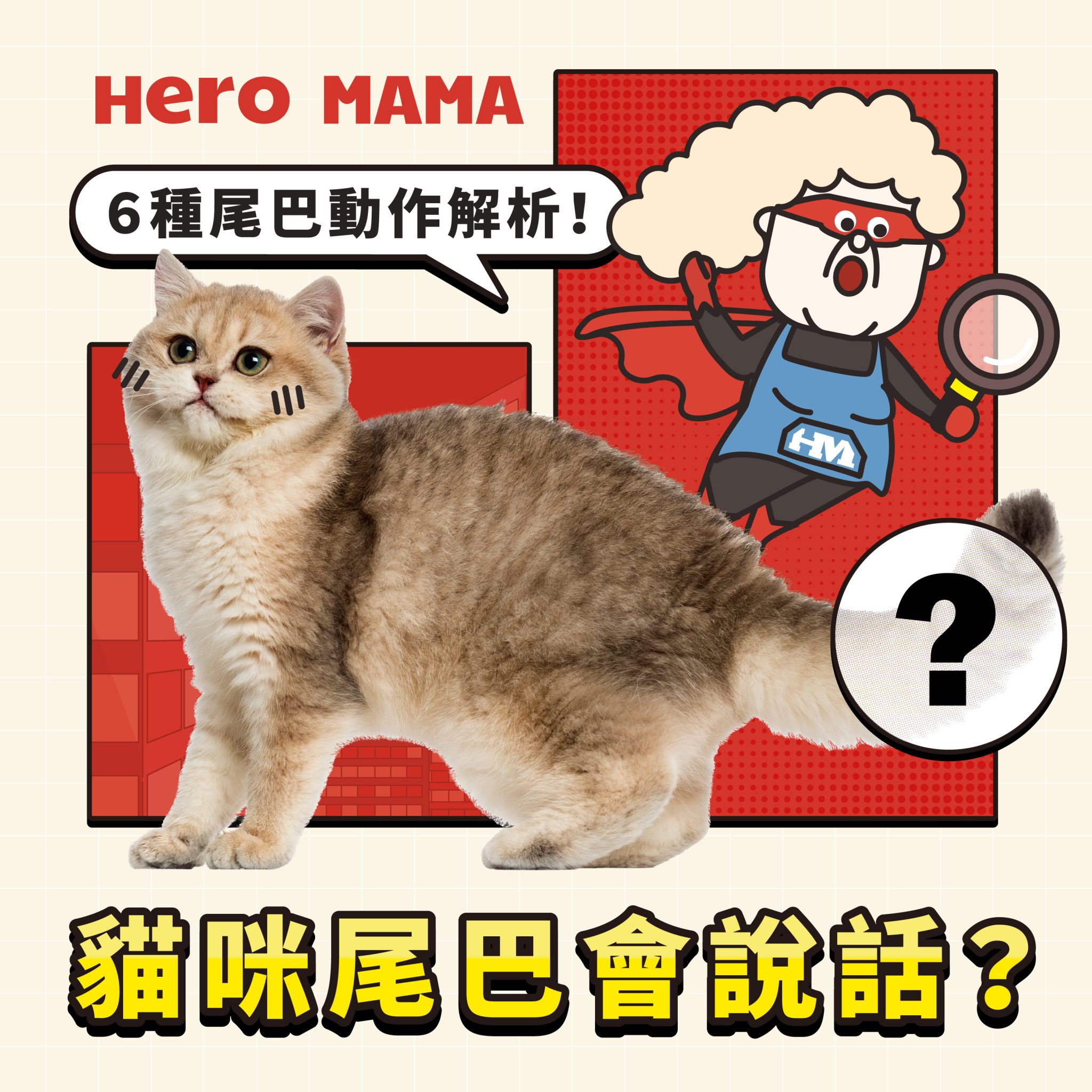 6大貓尾巴意思一篇睇晒！貓炸毛、尾巴舉高代表咩？ - HeroMama (HK)