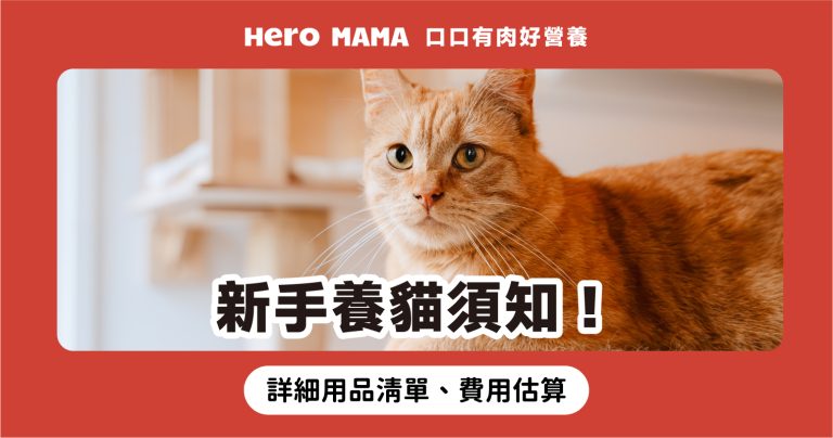 新手養貓須知！詳細用品清單、費用估算，專屬新手貓奴的入門指南 - HeroMama (HK)